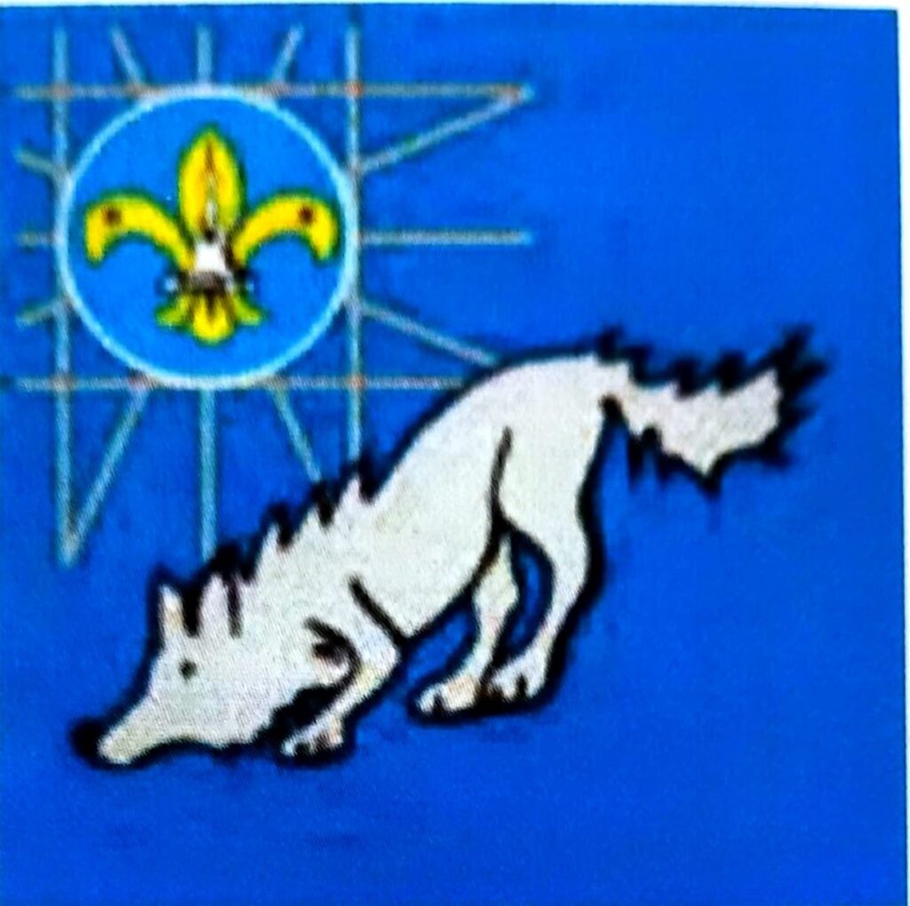 Manada – scouts ecuador