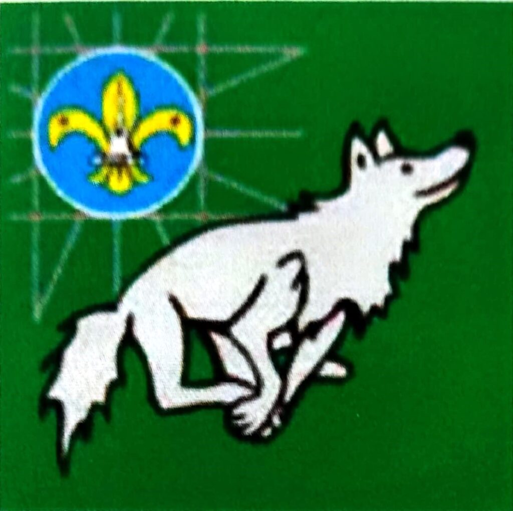 Manada – scouts ecuador