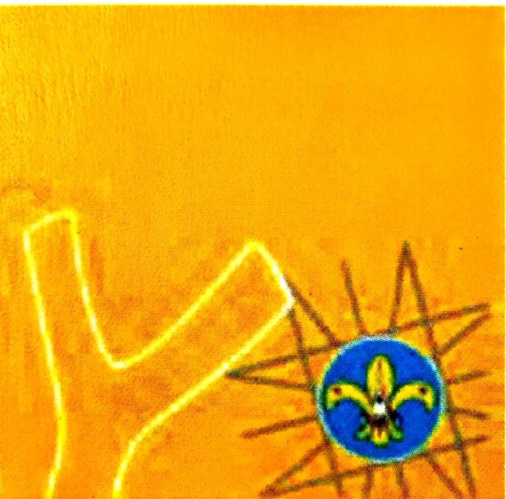 Rovers – scouts ecuador